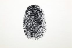 Why Do We Have Fingerprints? - ANAB Blog