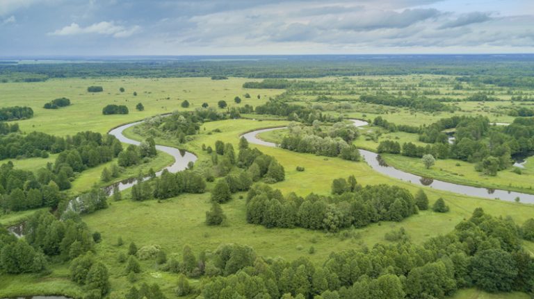 ISO 3166-1:2020 - Country Codes Standard Changes - ANSI Blog