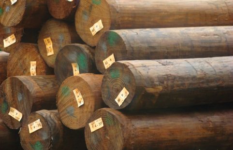 ANSI O5.1-2022: Wood Poles - Specifications and Dimensions - ANSI Blog